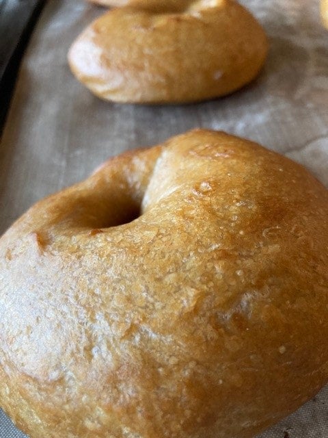 Plain Sourdough Bagels (1/2 dozen) | Sour House Breads